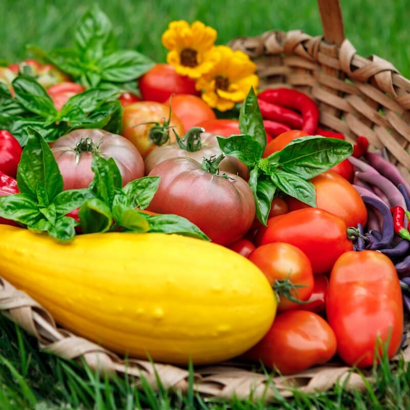 Buy Spring Summer seeds Online | Happy Valley Seeds