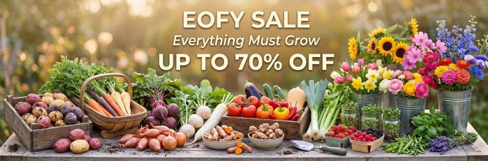 Vegetable, Flower, Sprout Seeds Australia Wide | Happy Valley Seeds