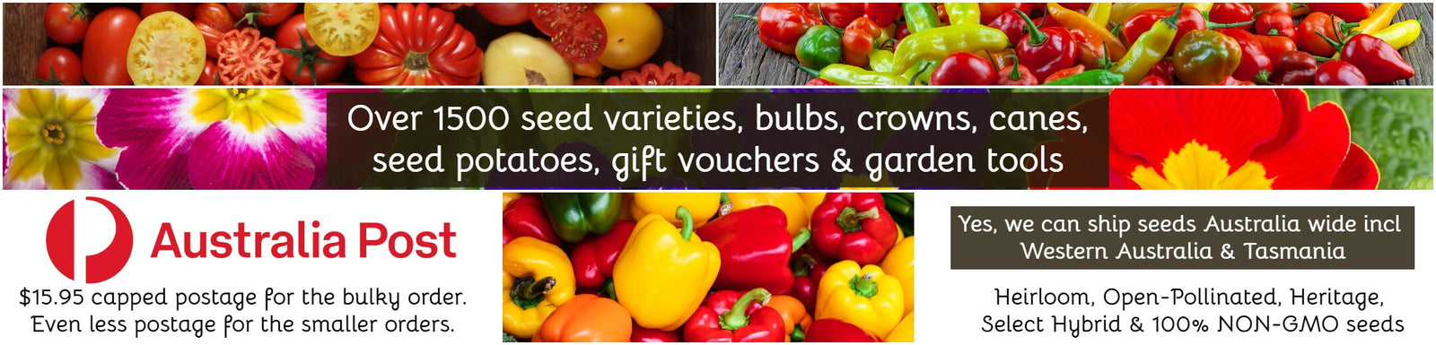 Vegetable, Flower, Sprout Seeds Australia Wide | Happy Valley Seeds