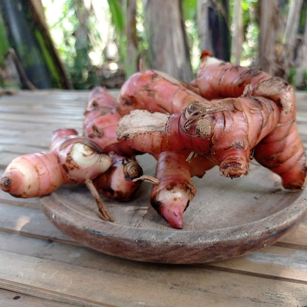 Rhizomes, Bare Roots & Tubers
