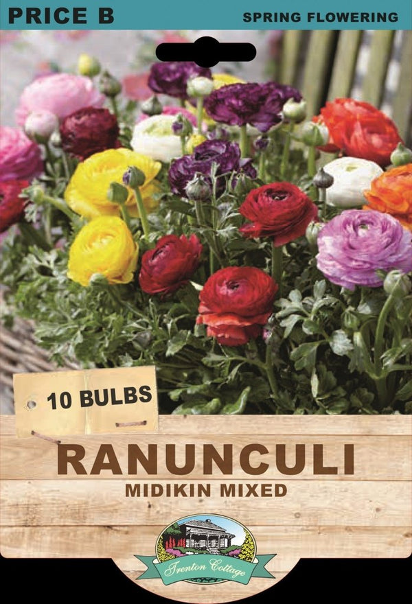Vegetable, Flower, Sprout Seeds Australia Wide | Happy Valley Seeds