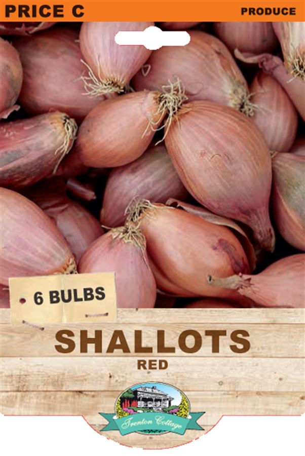 Buy Seasonals Online | Happy Valley Seeds – Page 2