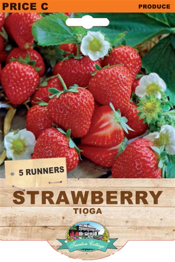 Buy Edible Produce Online | Happy Valley Seeds