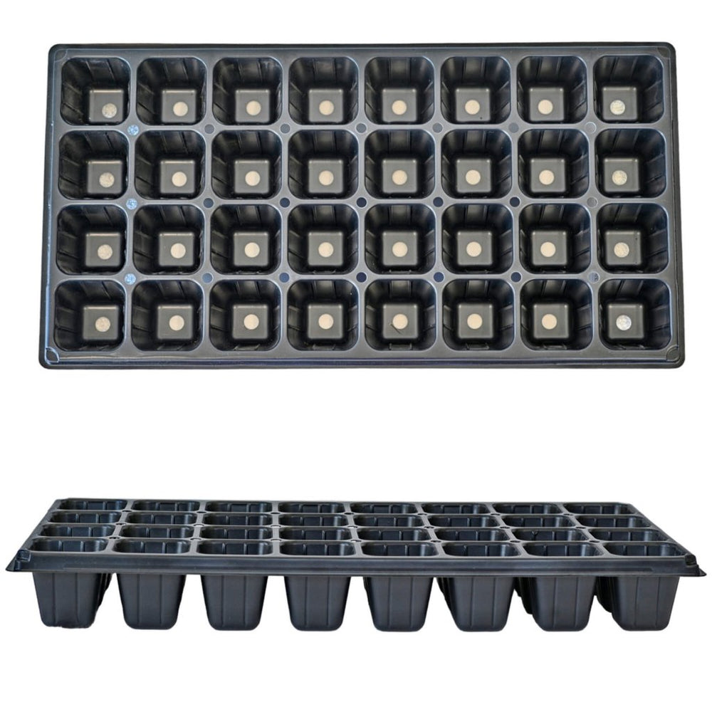 Buy 32 Cell Moulded Seedling Tray Online | Happy Valley Seeds