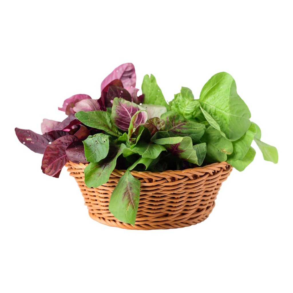 Buy Amaranth seeds Online | Happy Valley Seeds