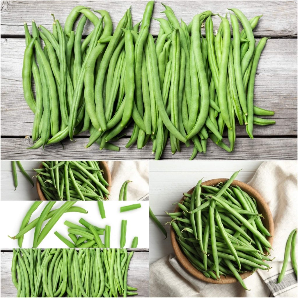 Buy Bean seeds Online | Happy Valley Seeds – Page 2