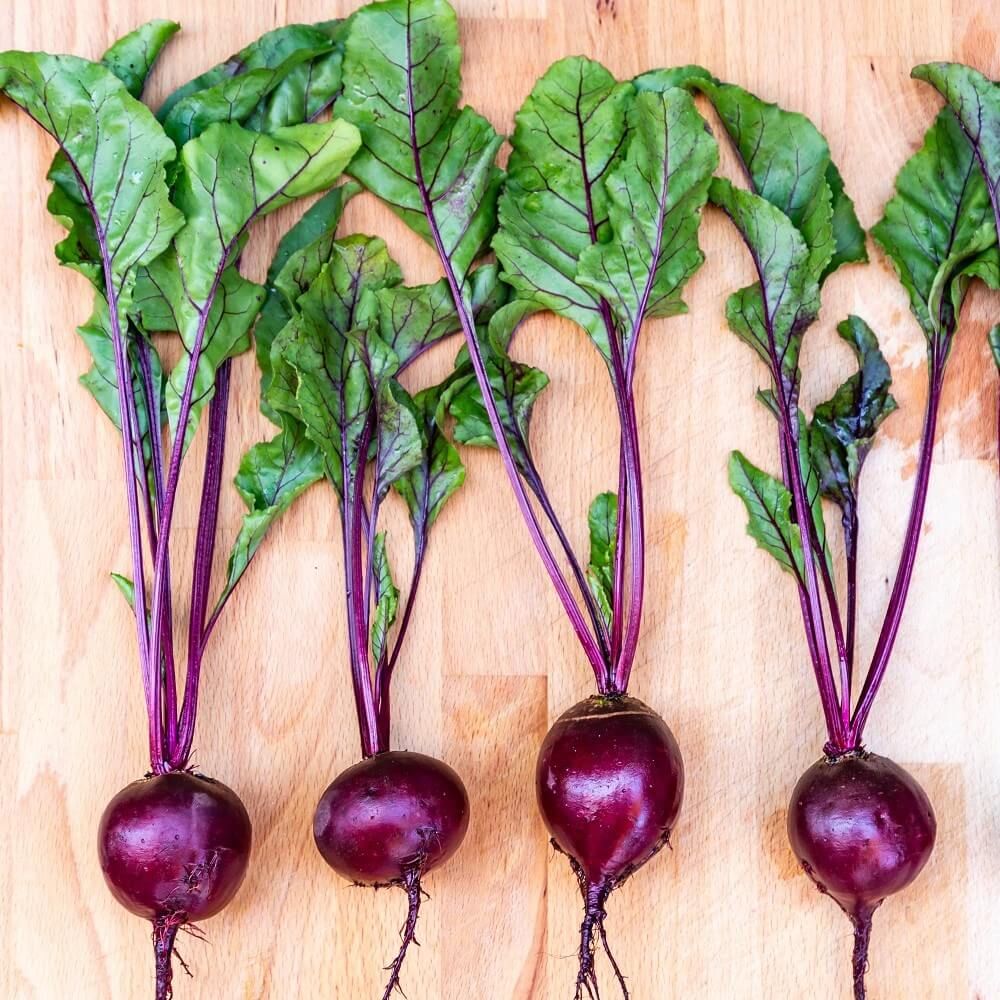 Buy Beetroot - Crosby Egyptian seeds Online | Happy Valley Seeds