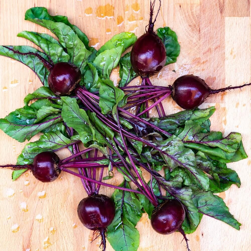 Buy Beetroot - Crosby Egyptian seeds Online | Happy Valley Seeds
