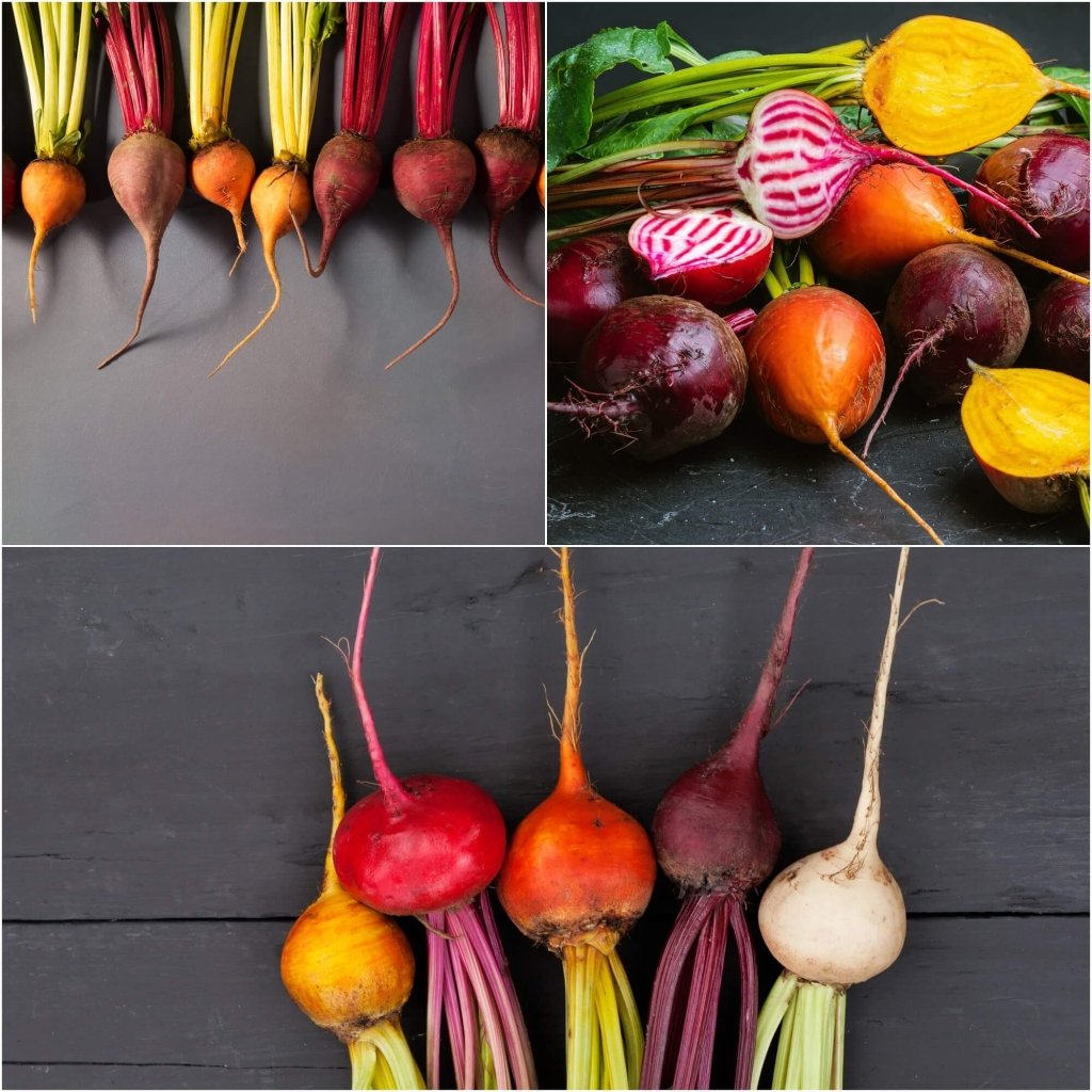 Buy Beetroot - Heirloom Mix seeds Online | Happy Valley Seeds