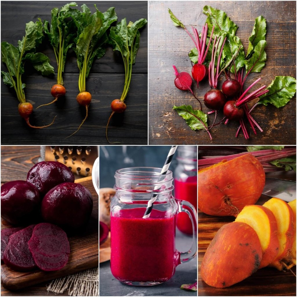 Buy Beetroot seeds - Assorted 3 Packs Online | Happy Valley Seeds