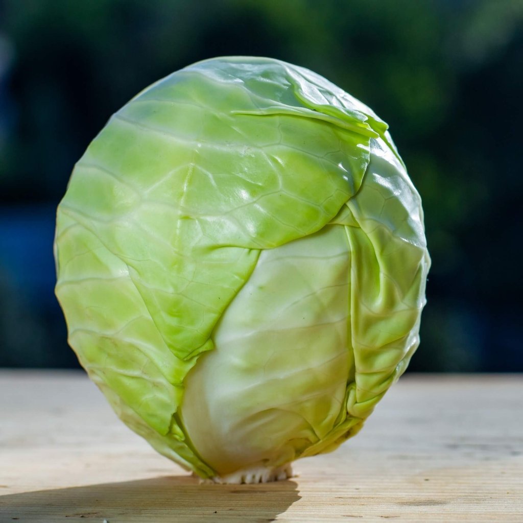 Cabbage - Miniball F1 seeds