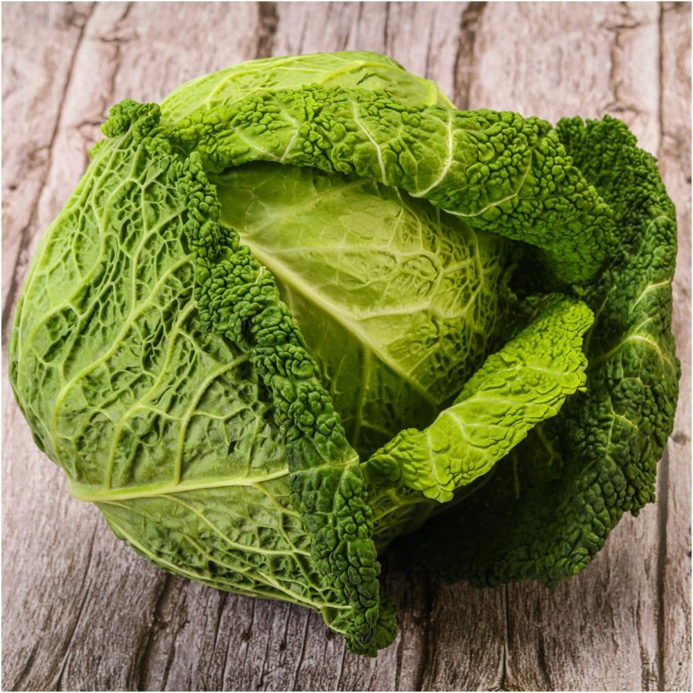 Cabbage seeds