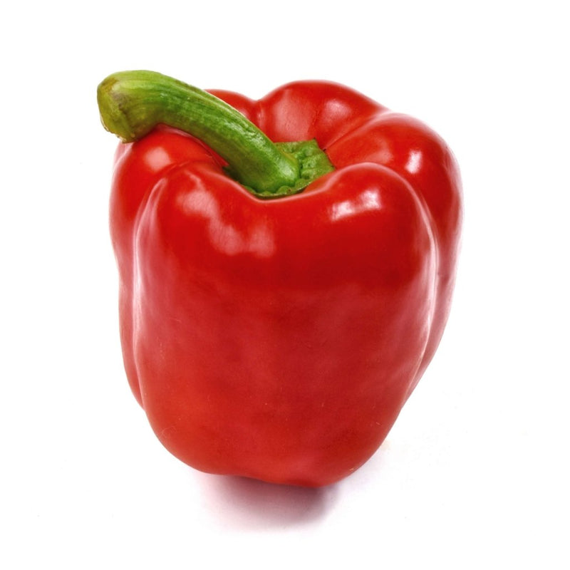 Buy Capsicum seeds Online | Happy Valley Seeds