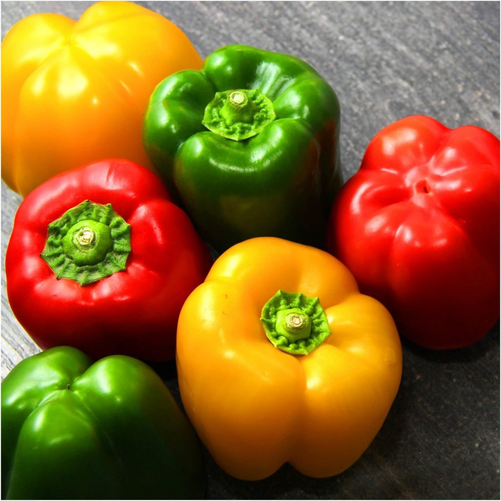 Buy Capsicum - Heirloom Mix seeds Online | Happy Valley Seeds