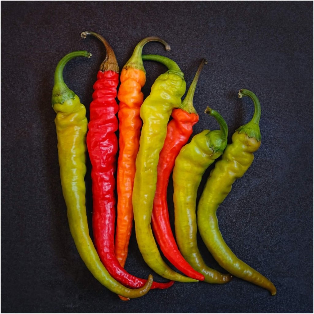 Buy Capsicum - Peperone seeds Online | Happy Valley Seeds