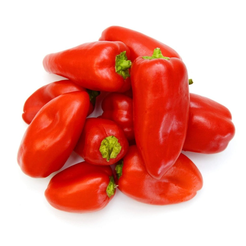 Buy Capsicum - Snack Red F1 seeds Online | Happy Valley Seeds