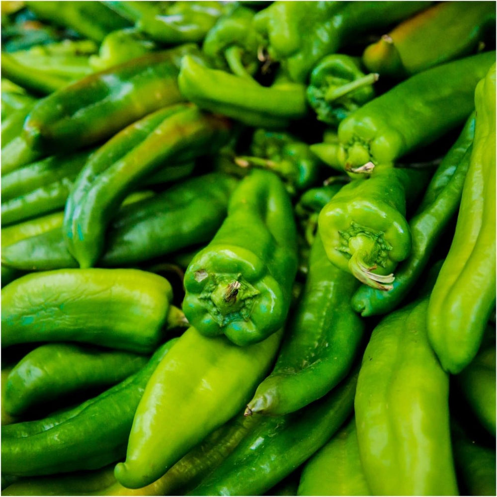 Chilli - Anaheim seeds