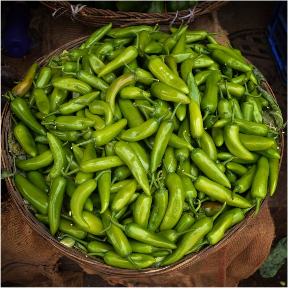 Buy Chilli seeds Online | Happy Valley Seeds