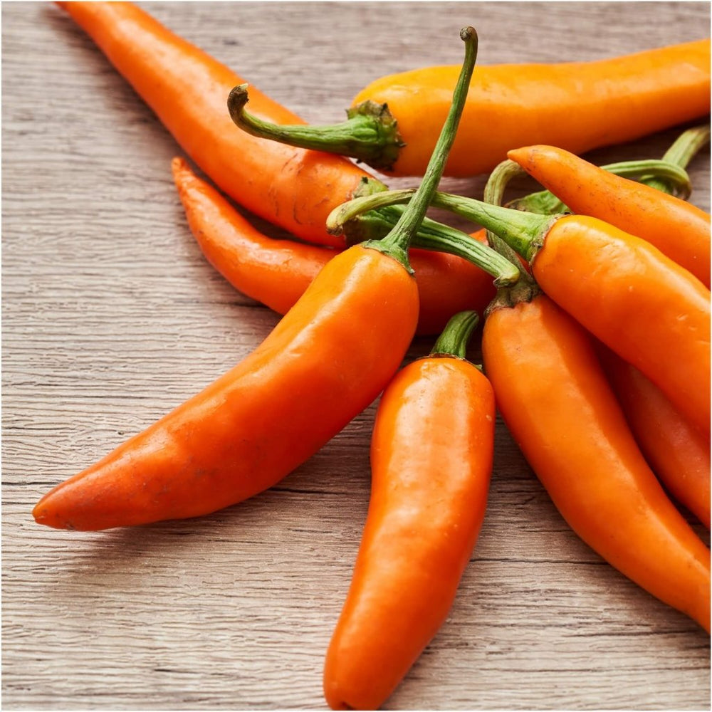 Buy Chilli - Cobra Orange seeds Online | Happy Valley Seeds