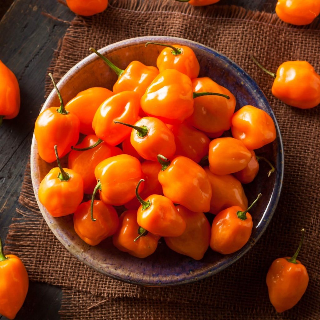 Chilli - Habanero Orange seeds