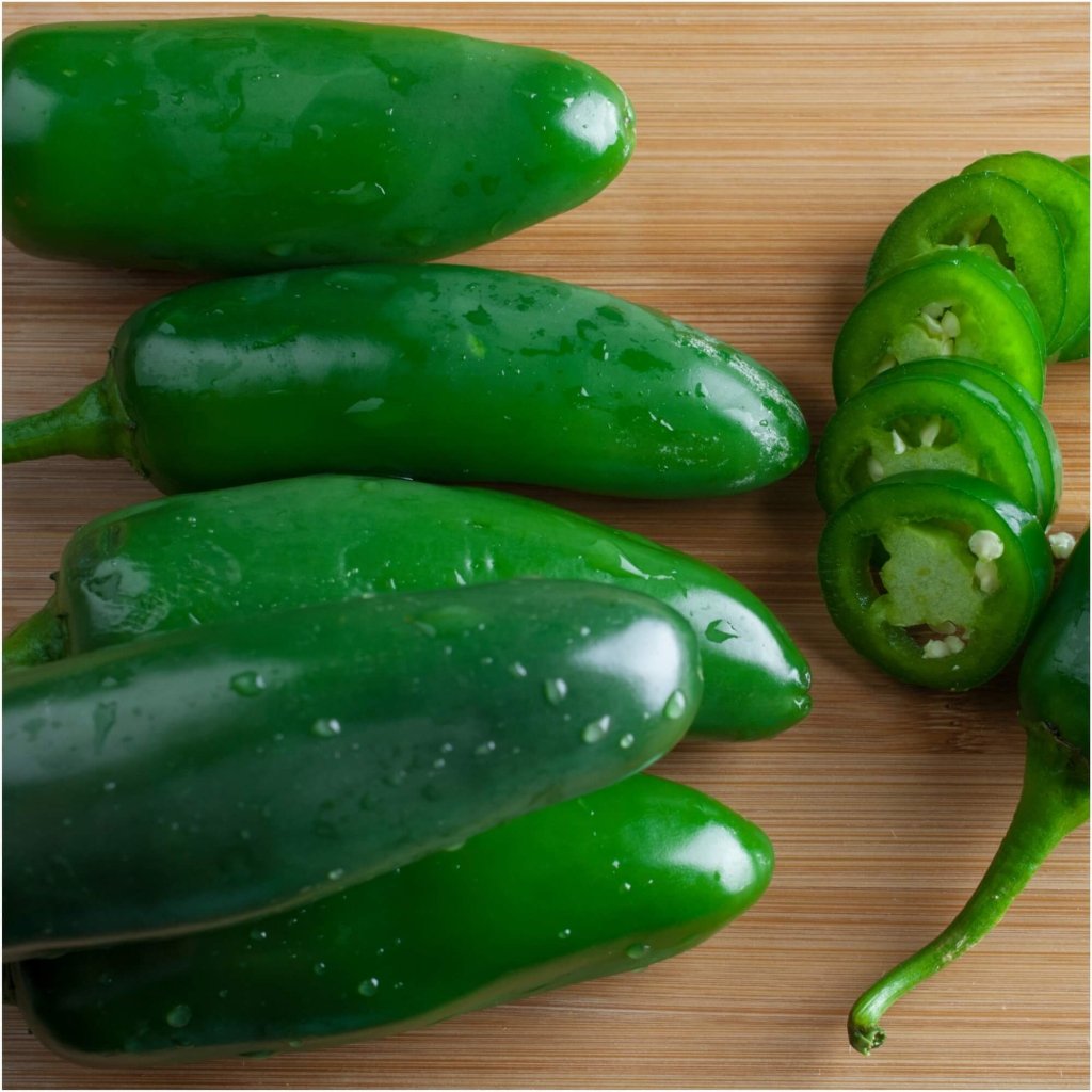 Jalapeno Pepper Jalisco