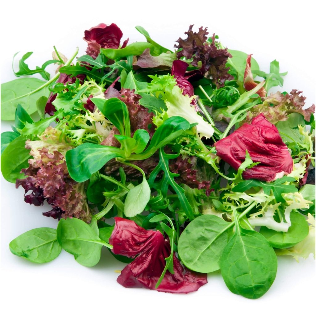 Buy Microgreen Seeds Online | Happy Valley Seeds