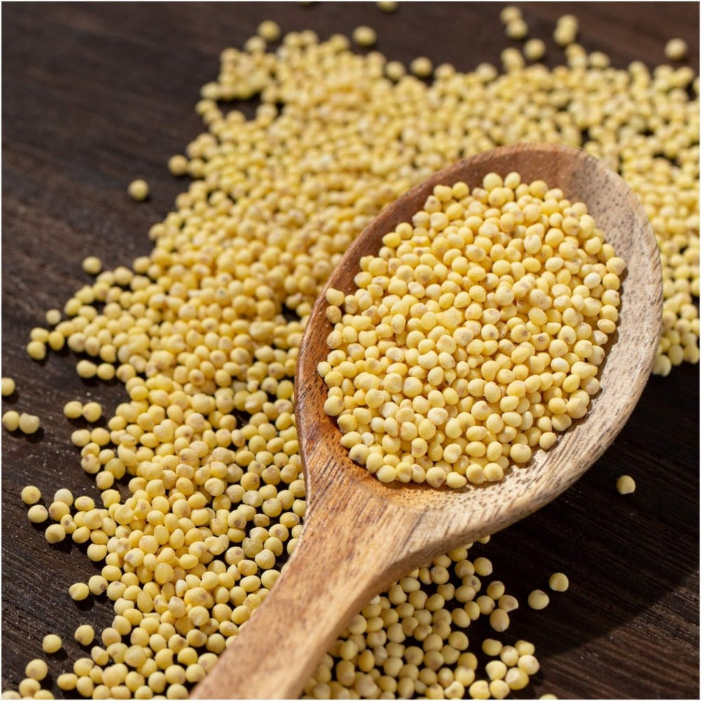 Buy Millet seeds Online | Happy Valley Seeds