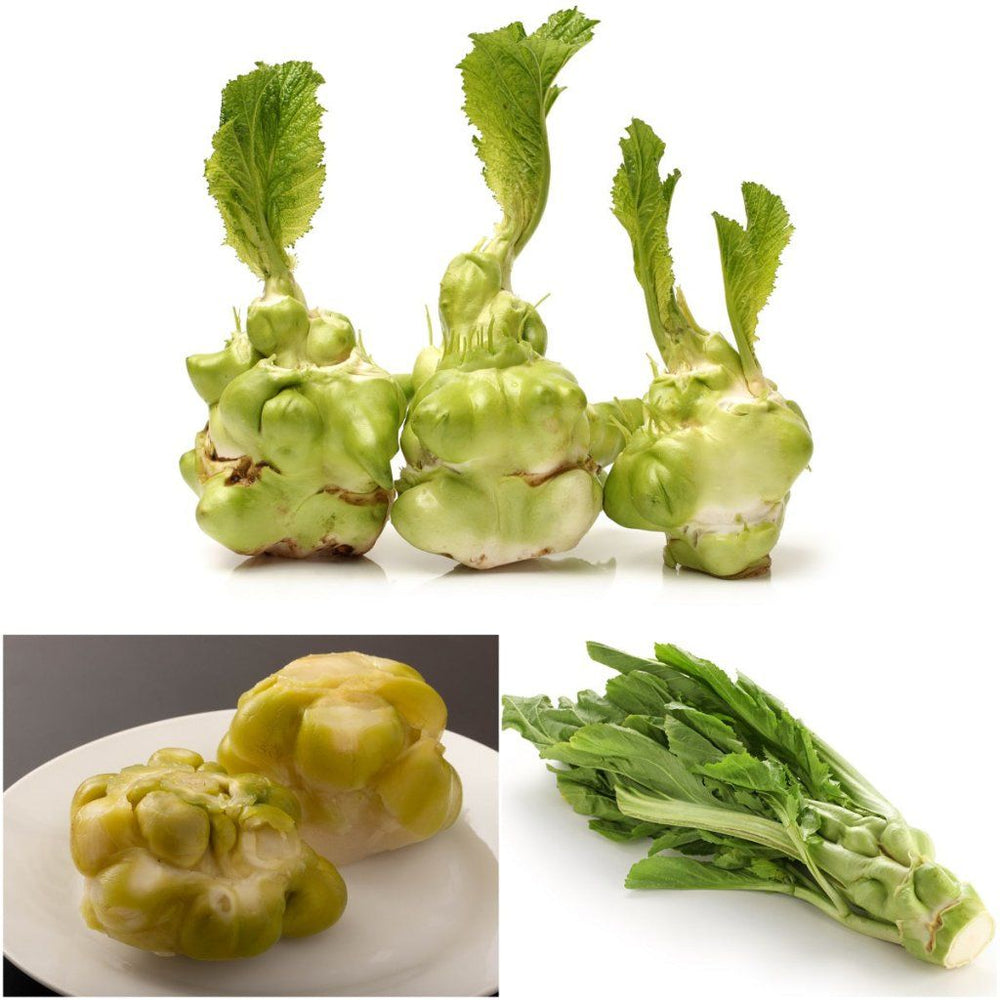 Buy Mustard - Tsa Tsai Round seeds Online | Happy Valley Seeds