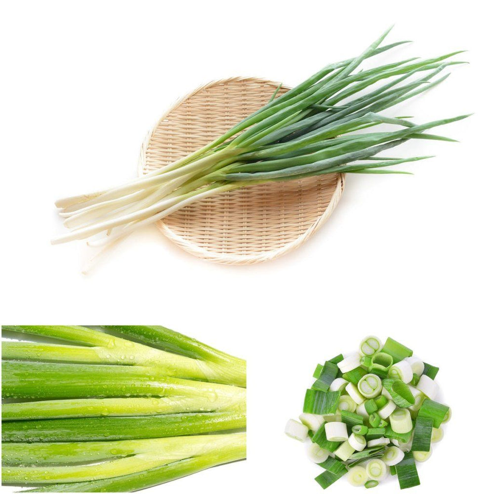 Buy Onion (Spring) - Japanese Kyoto Kujo Negi seeds Online | Happy ...