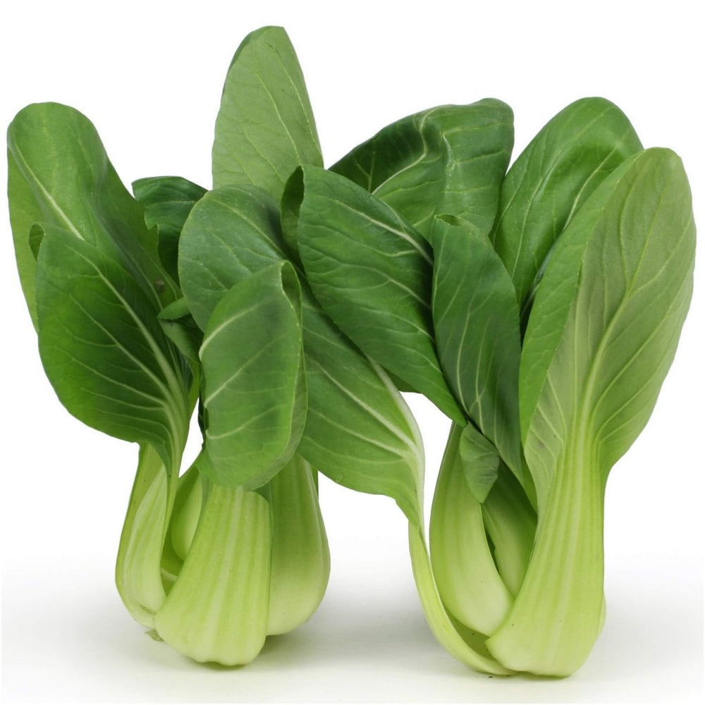 Buy Pak Choi - Green (Bok Choy) seeds Online | Happy Valley Seeds