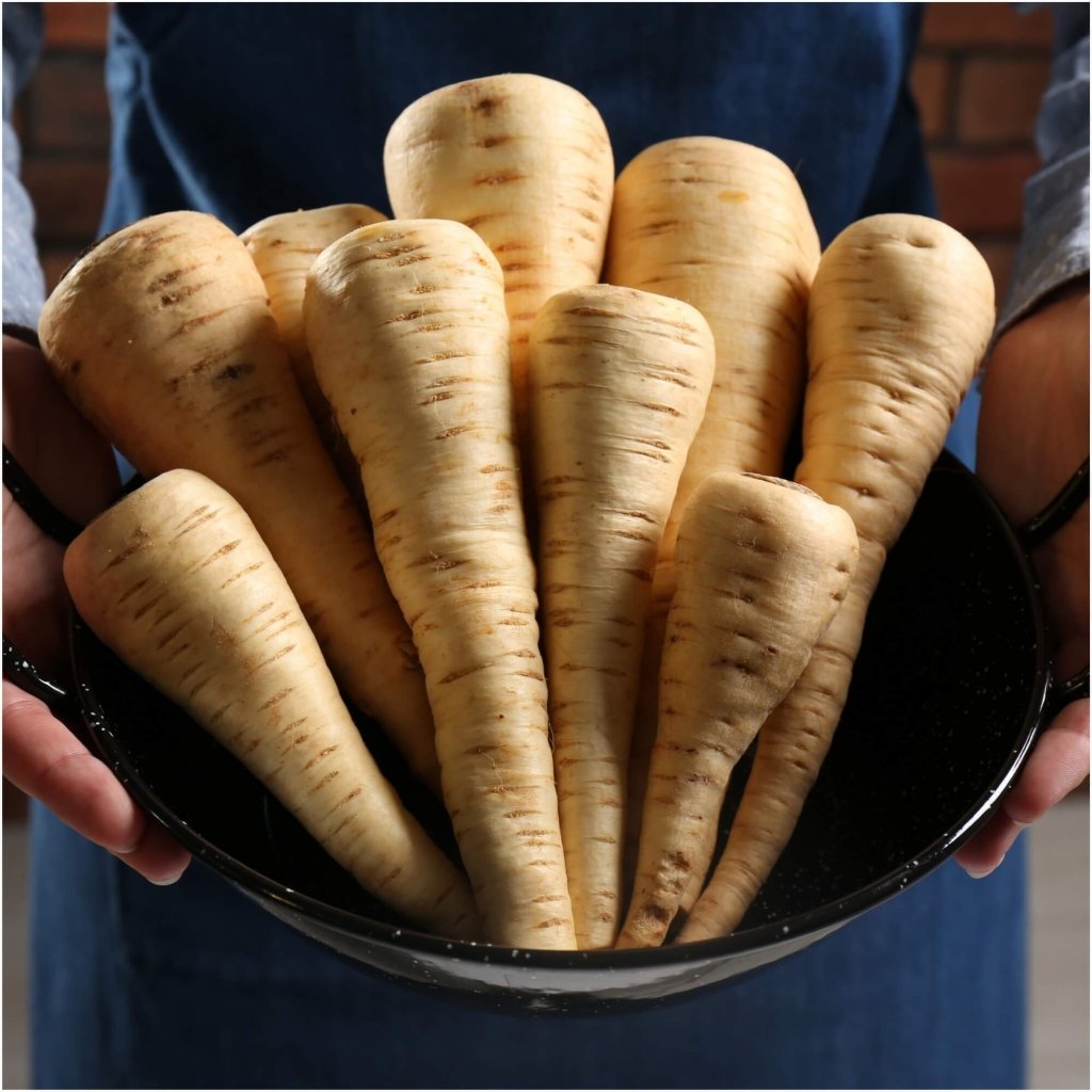 Buy Parsnip seeds Online | Happy Valley Seeds
