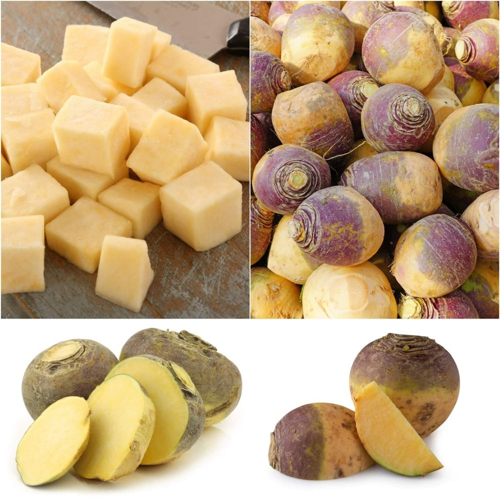 Swede seeds