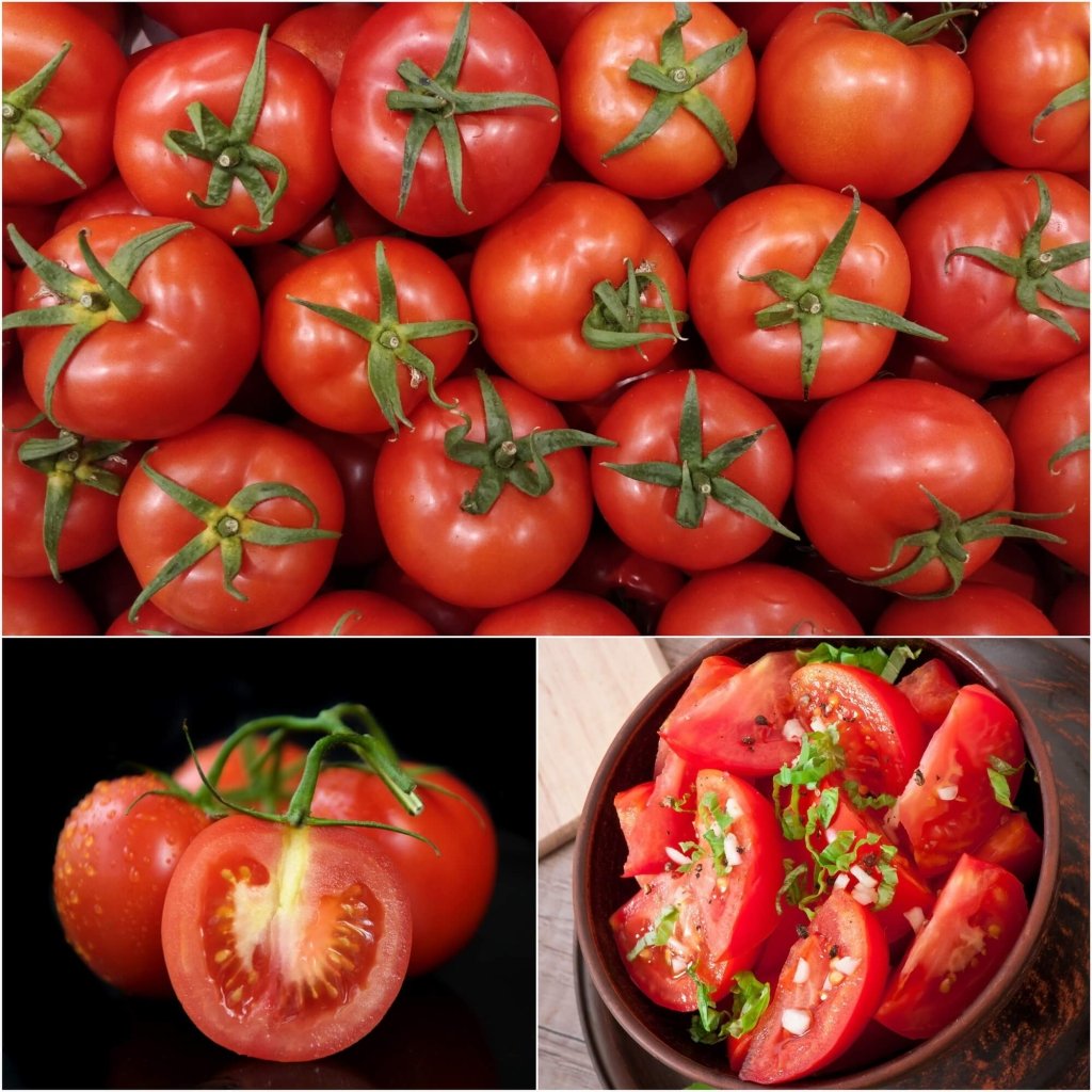 Buy Tomato - Salad Special seeds Online | Happy Valley Seeds