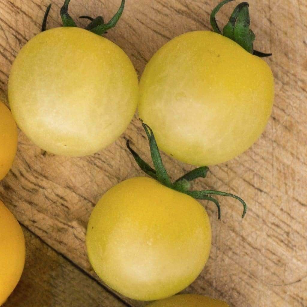 Buy Vegetable Seeds Online Australia | Happy Valley Seeds – Page 5